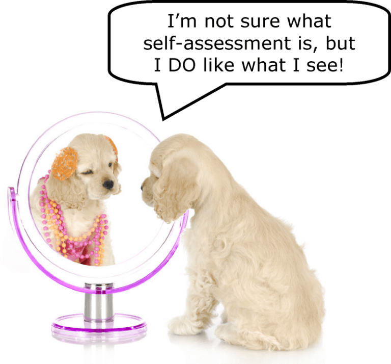 Evidence Based Learning | Self-Assessment Evidence Based Learning | Self-Assessment